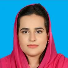 Faculty Profiles - KFUEIT